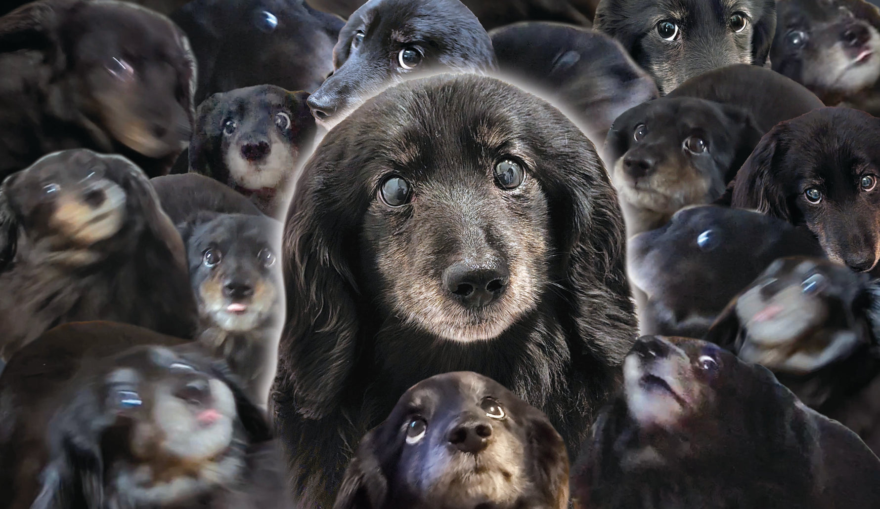 Oreo Boyboy Official Shop